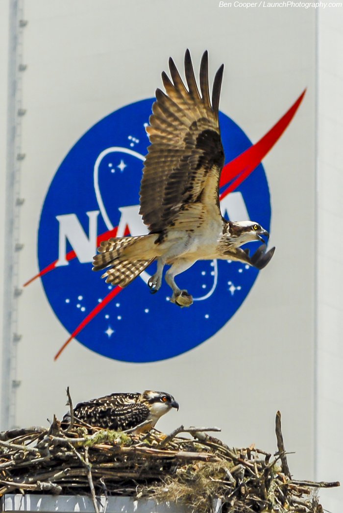 STS-117 Atlantis ISS solar array launch photos