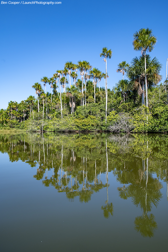 Peru Photography: Machu Picchu photos, Andes photos, Amazon rainforest ...