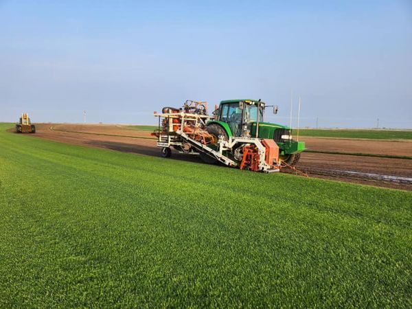 Sod Farm | Ellicott, CO | Schubert's Sod Depot