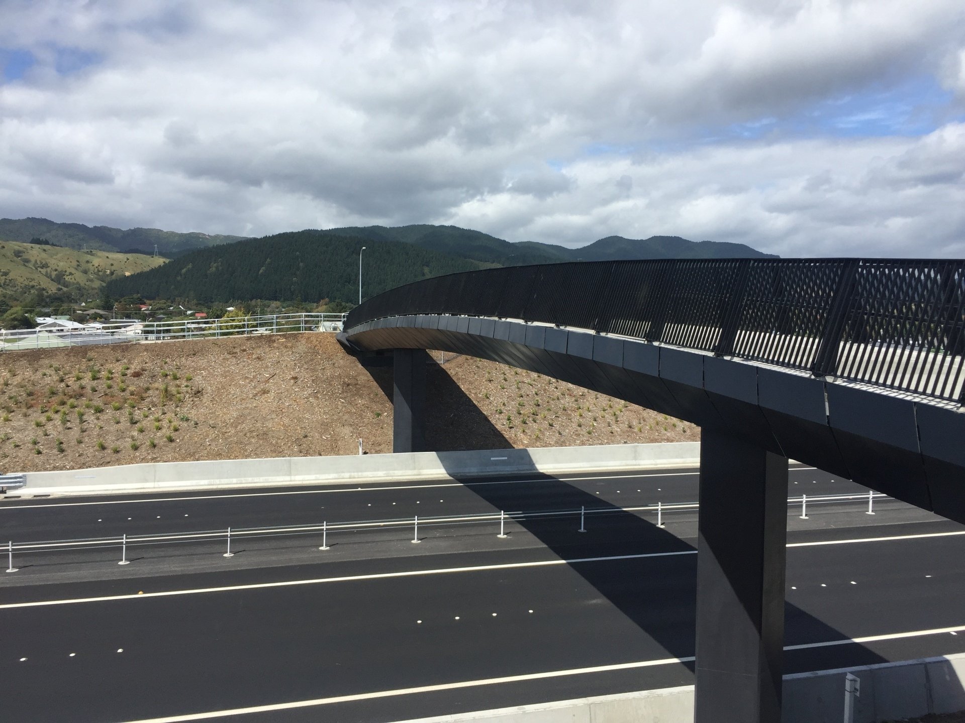 Pedestrian & Cycle Bridges