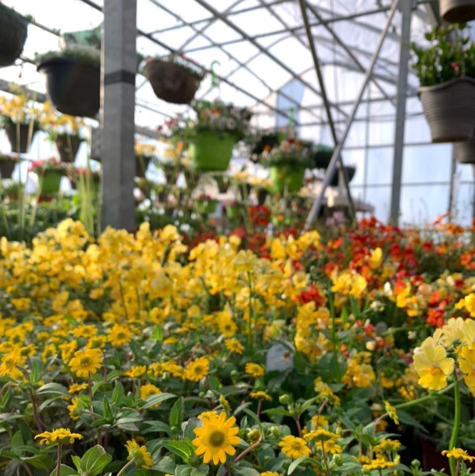 Garden Centre | Mayer Hardware | Building Supplies | Kenora, Ontario