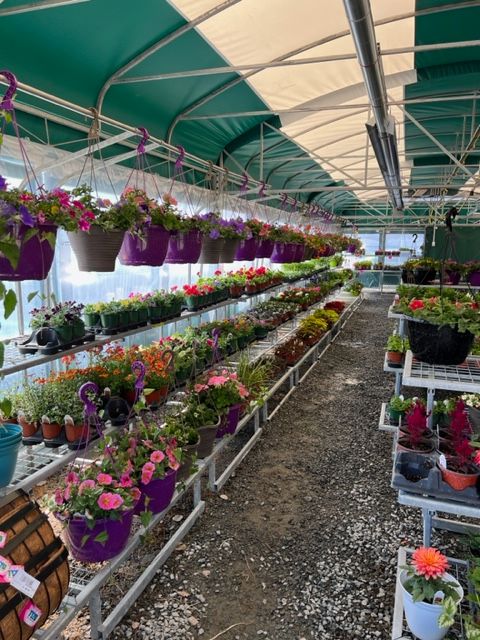 Cottage Plans | Mayer Hardware | Building Supplies | Kenora, Ontario