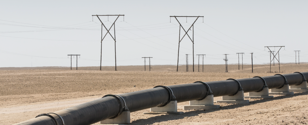 Scale Management | DOSAS Manufacturer