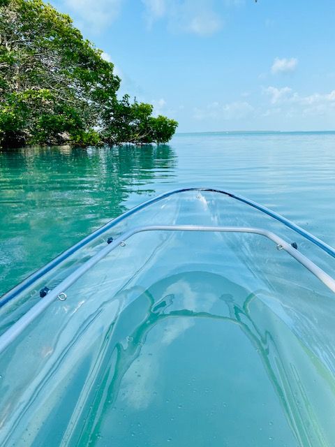 Clear Kayak Tours | Islamorada FL | I Can See Clear Kayaking