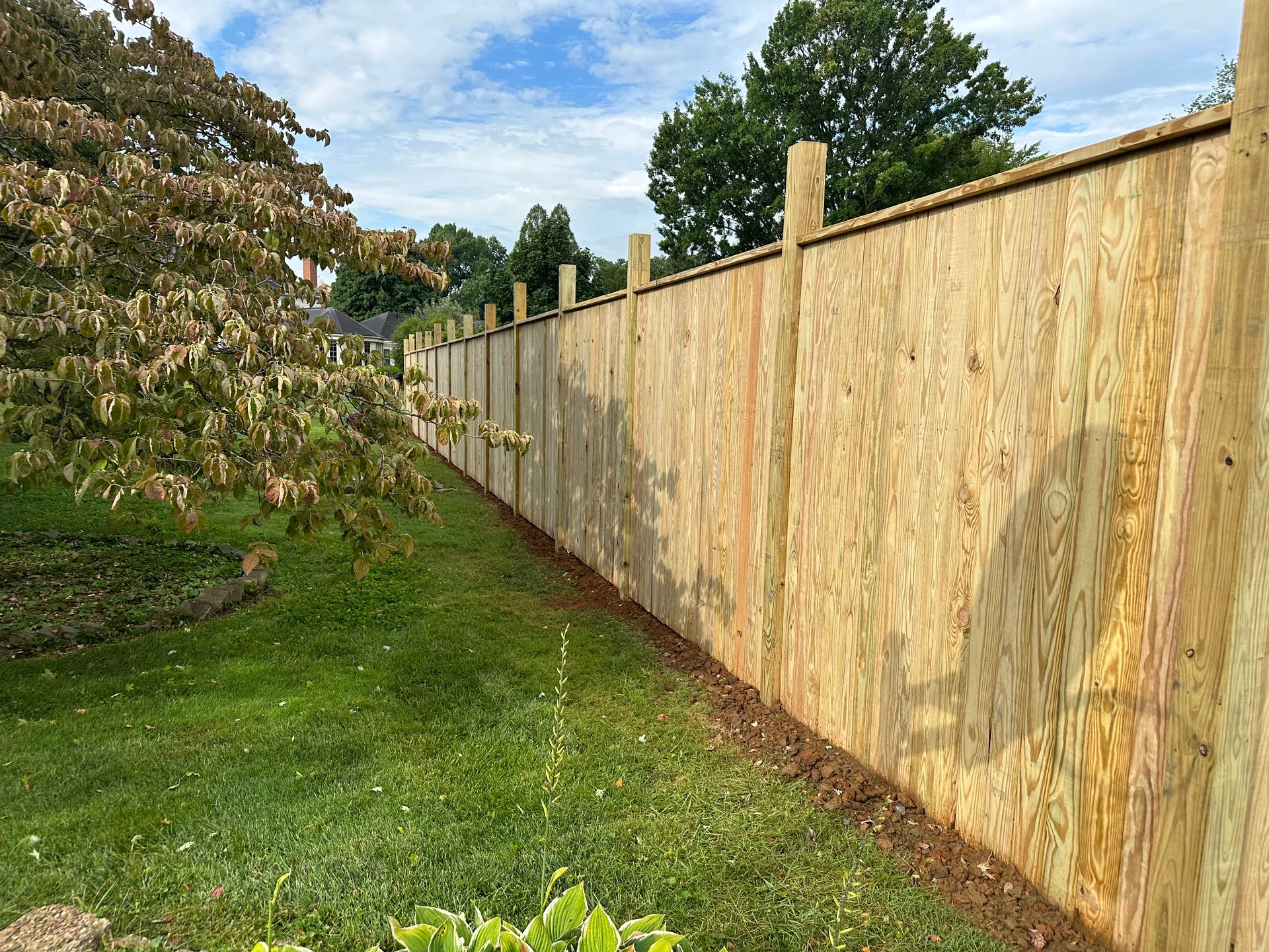 Horse Fencing | Louisville, KY | Lancaster Fencing