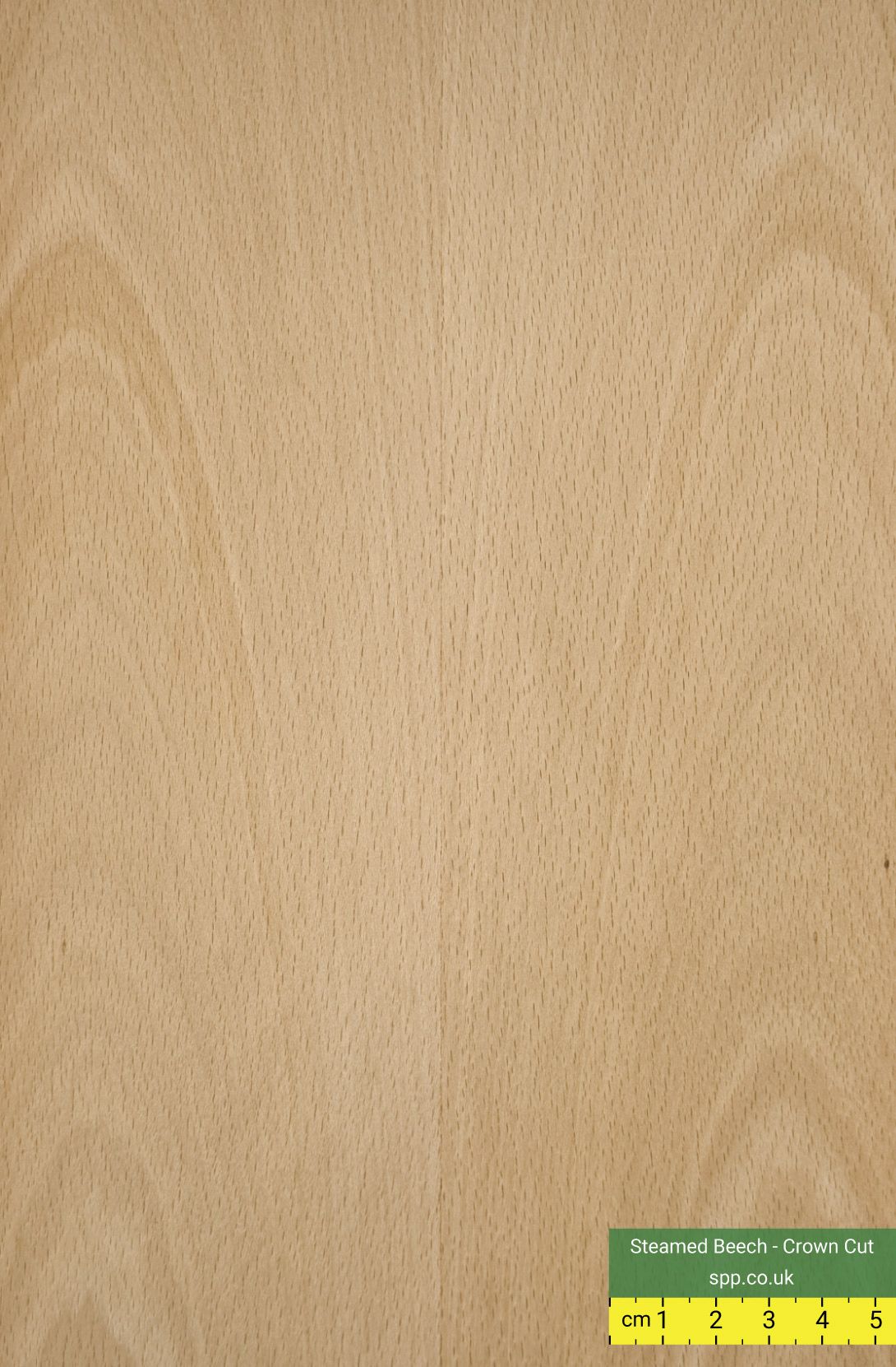 Steamed Beech Veneered Panels: Plywood & MDF