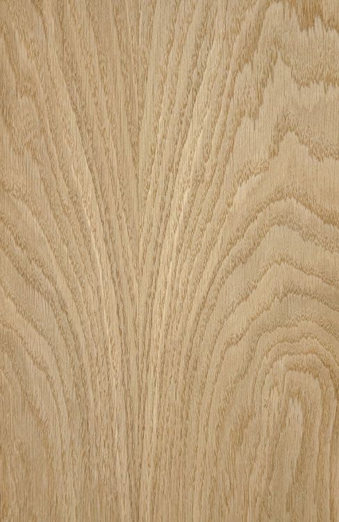 Oak Veneered Plywood Panels - Trade Supply UK