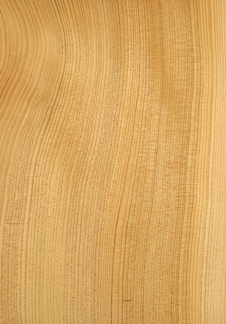 Walnut Veneered Plywood & MDF Panels