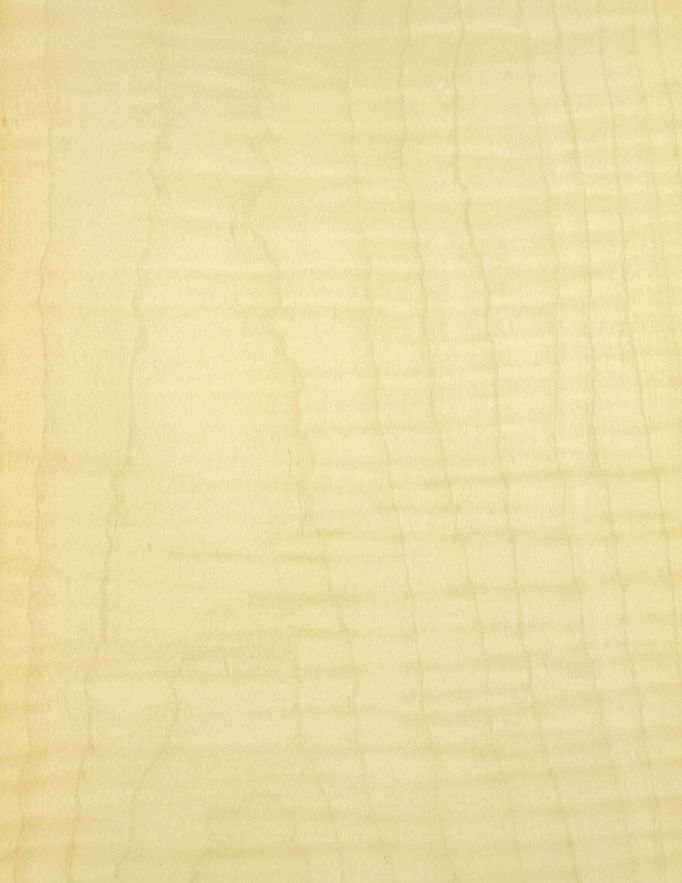 Ash Veneered Plywood & MDF - Trade Supply UK