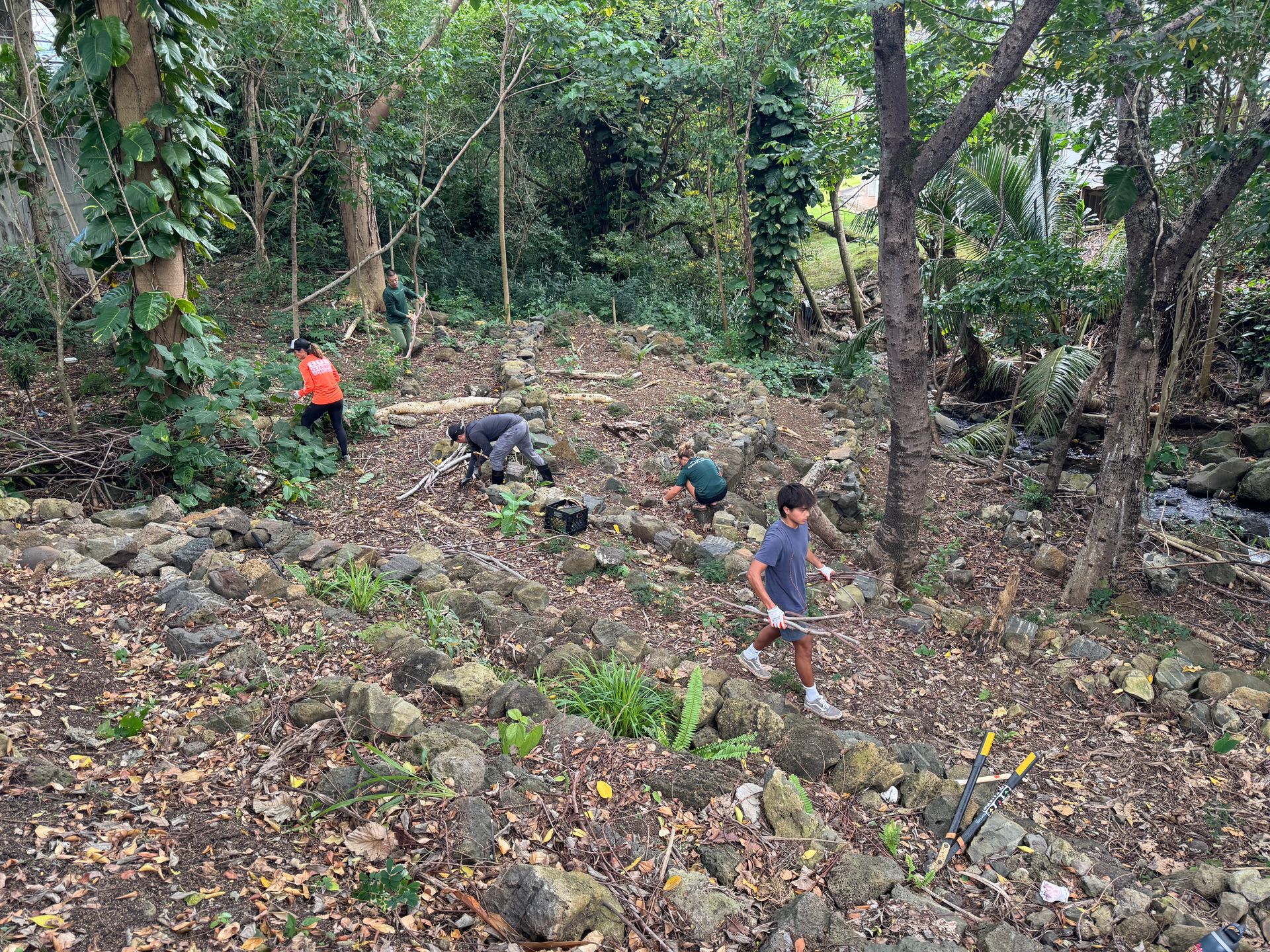 Follow the Drop Resources