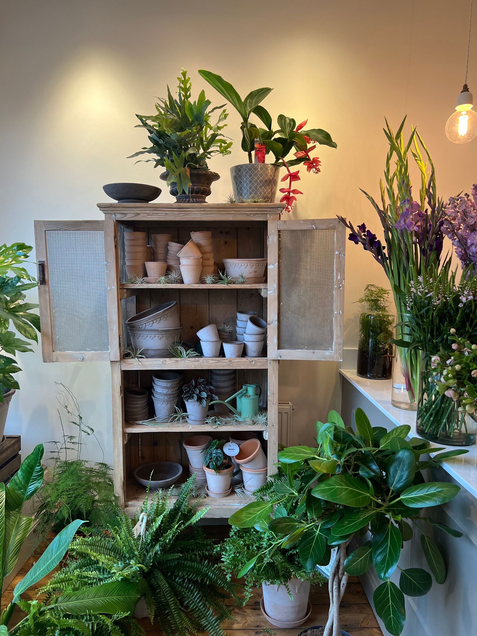 Cheltenham florist - weddings, events, sympathy & same day flower delivery.