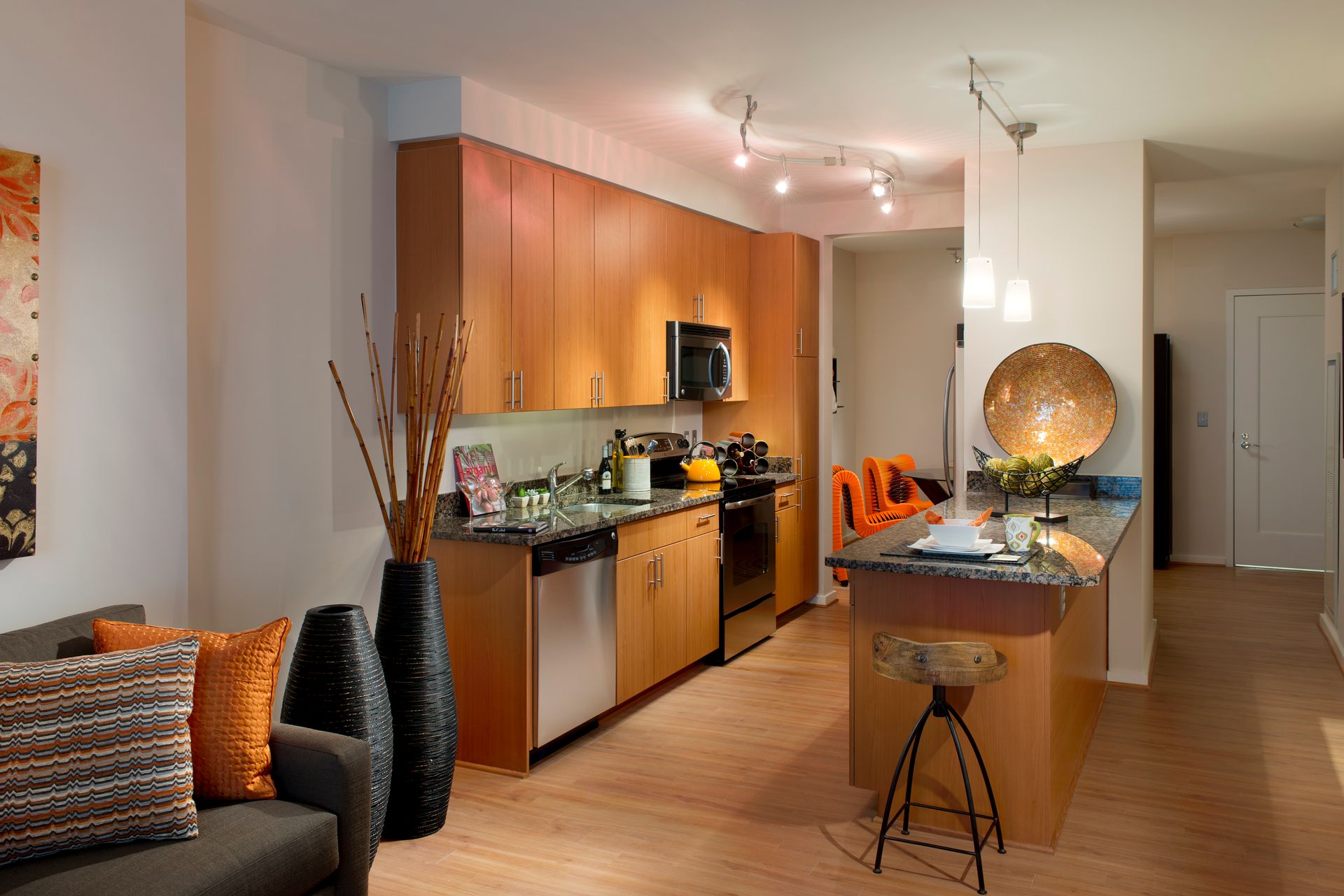 Gallery | Luxury Apartments in Downtown Silver Spring, MD