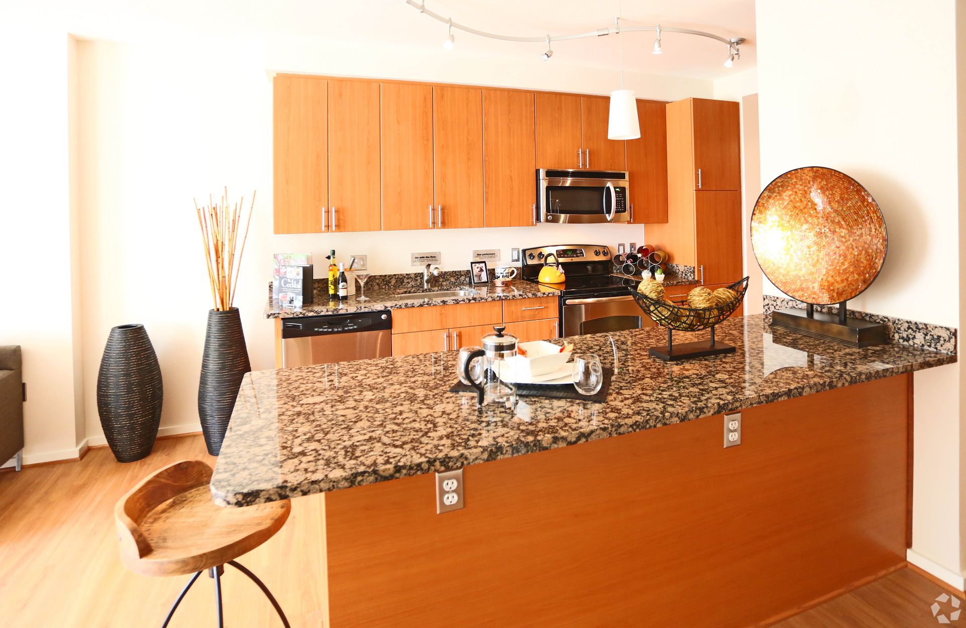 Gallery | Luxury Apartments in Downtown Silver Spring, MD