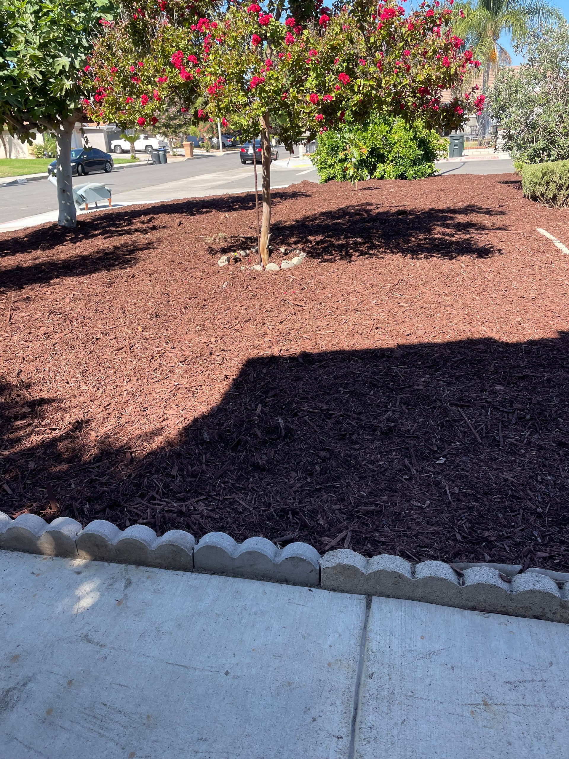 Landscape Red Mulch Installation in Hemet. CA | Palacios Landscaping