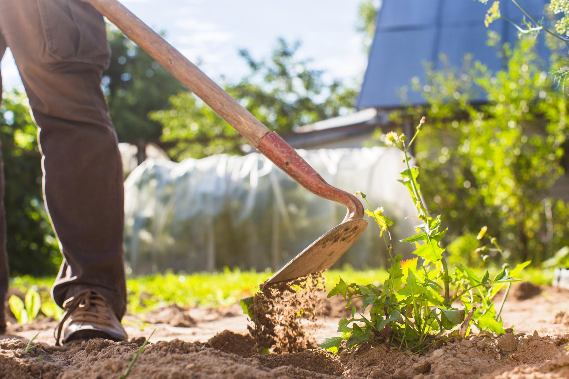 Fertilizing & Weed Control | Palacios Landscaping | Menifee, Murrieta ...