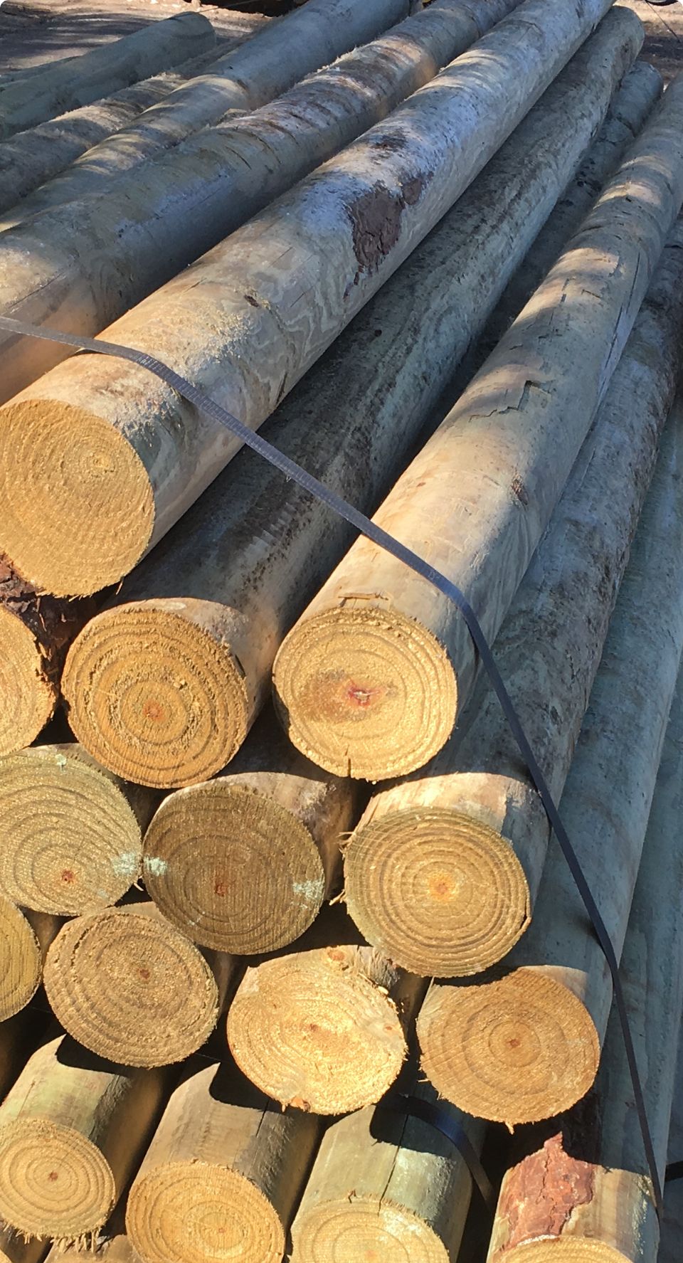 Treated Timber in Taree | Gnomes Landscape & Garden Supplies