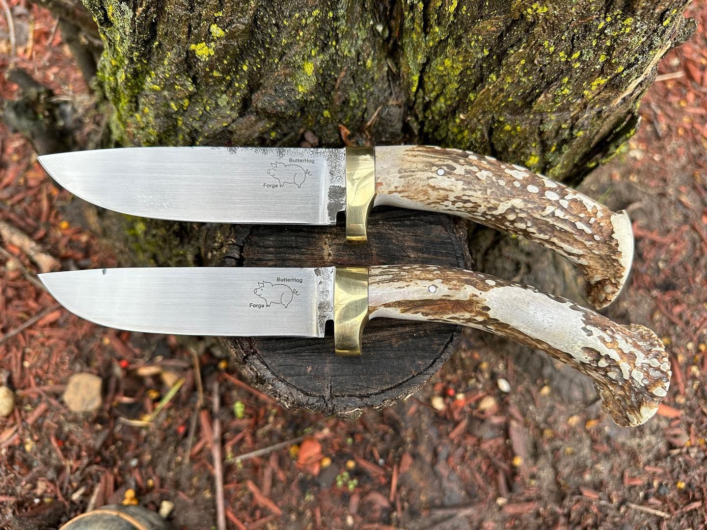 ButterHog Forge - Top Rated Knife Classes & Blacksmith Classes ...