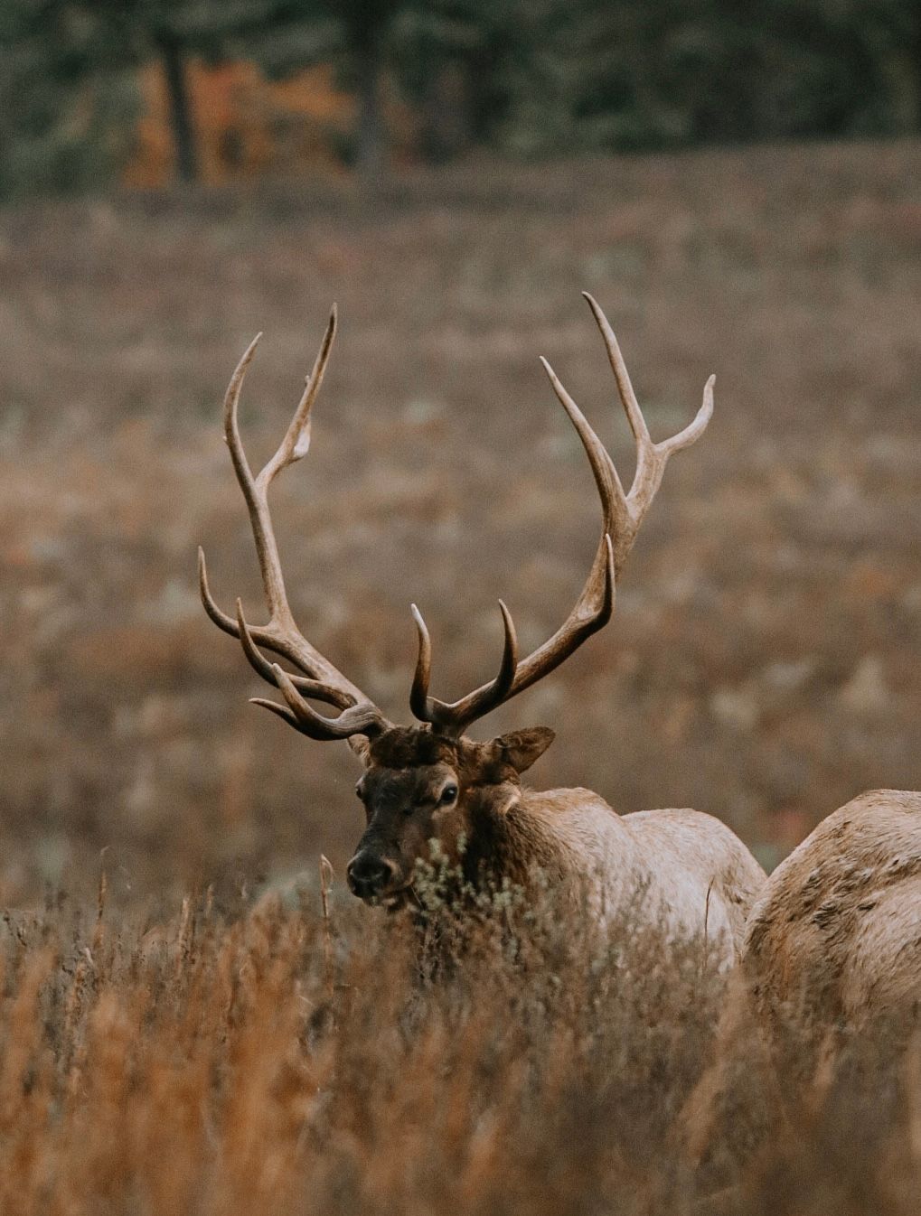 Special Events | Wilderness Hunting Lodge