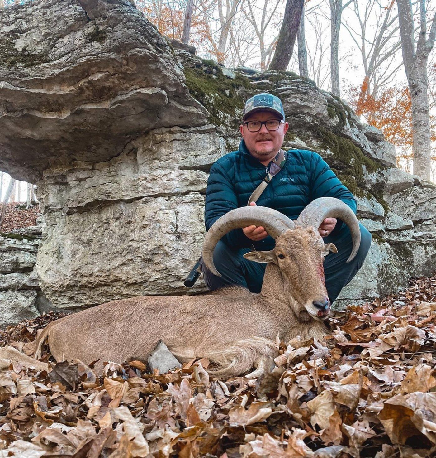 Trophy Wild Boar & Exotic Game Gallery | Wilderness Hunting Lodge