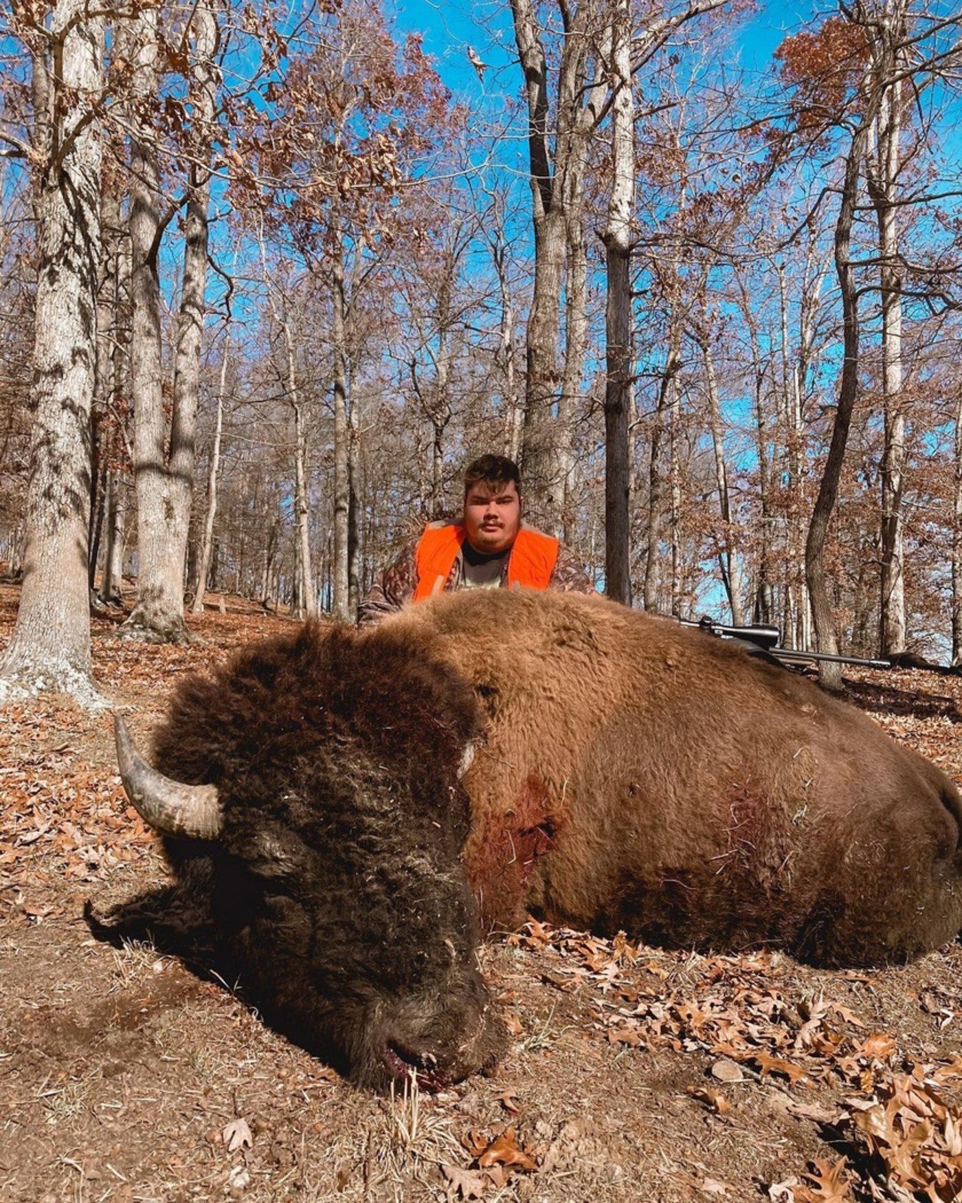 Trophy Wild Boar & Exotic Game Gallery | Wilderness Hunting Lodge
