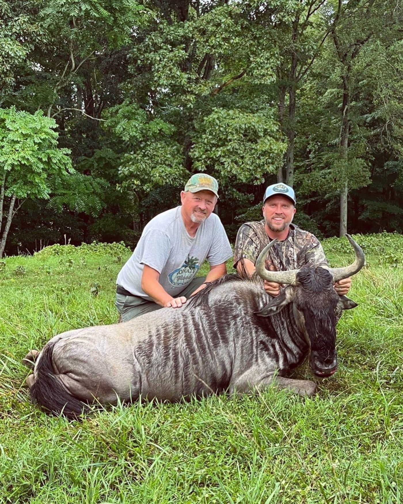 Exotic Hunts | Tennessee's Wilderness Hunting Lodge