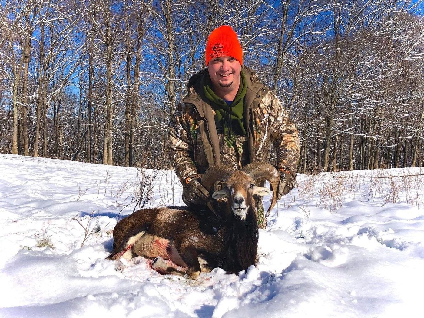 Trophy Wild Boar & Exotic Game Gallery | Wilderness Hunting Lodge