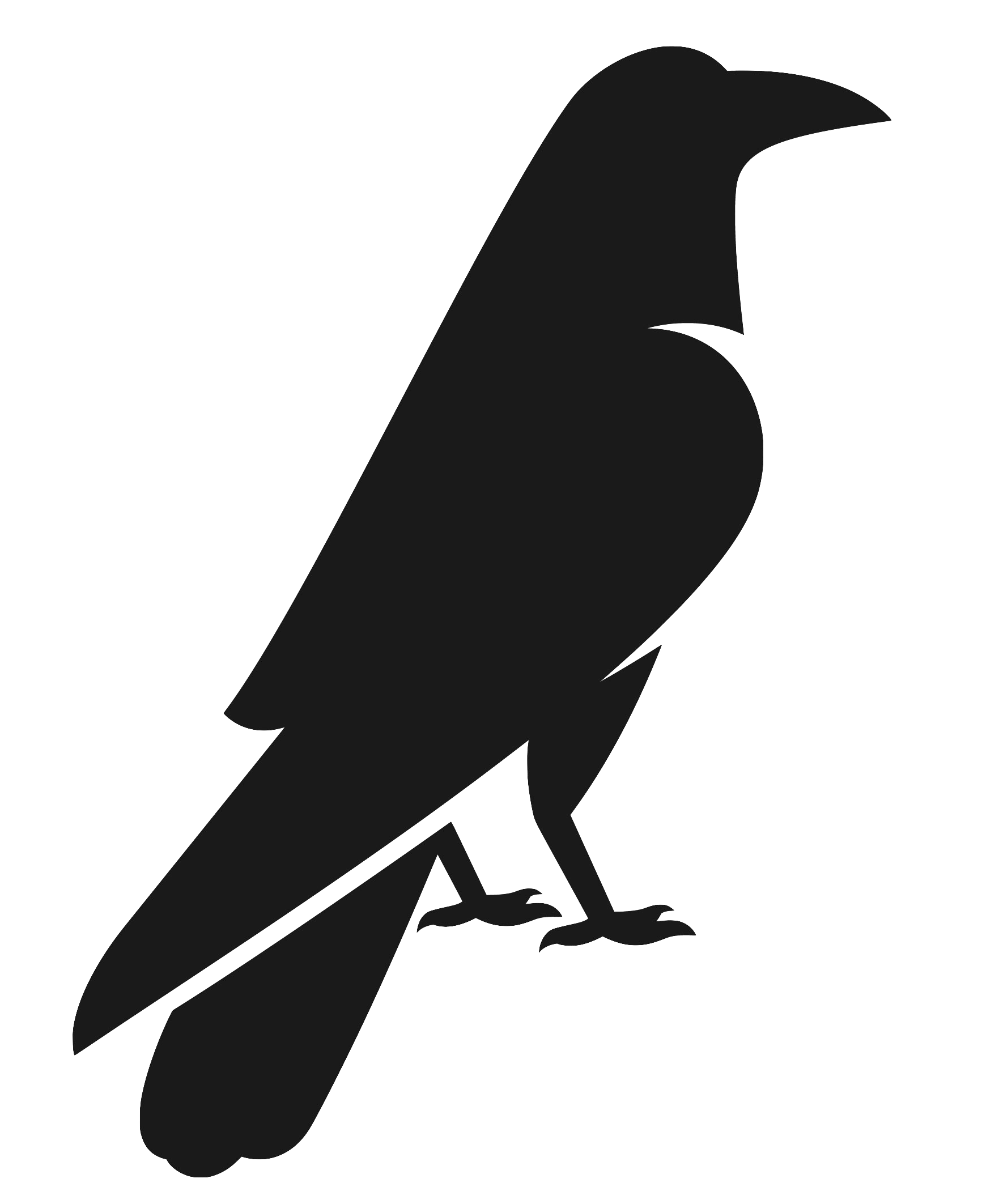 Septic Services & Inspections | Lancaster, PA