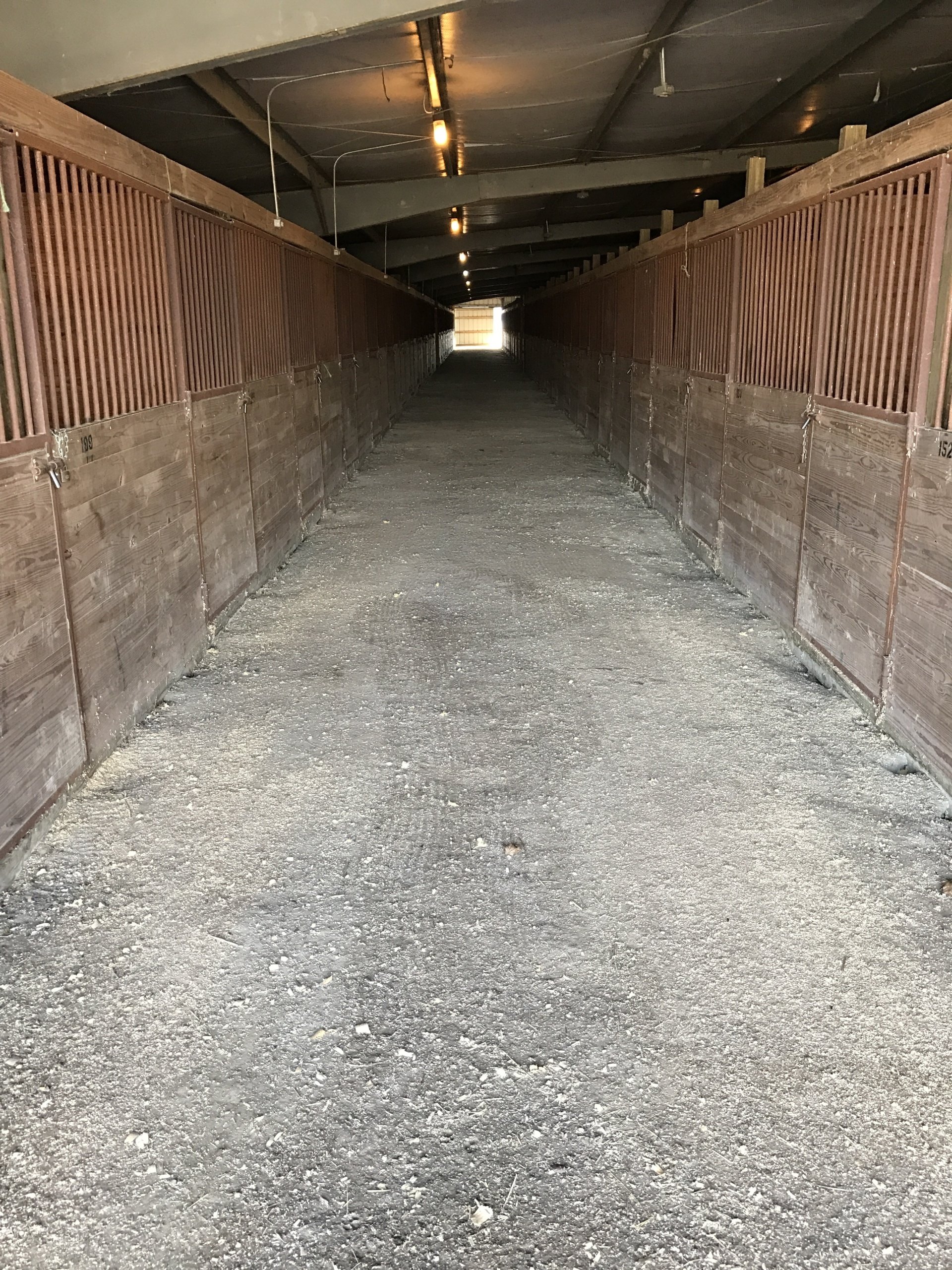 Home [www.circlegarena.us]