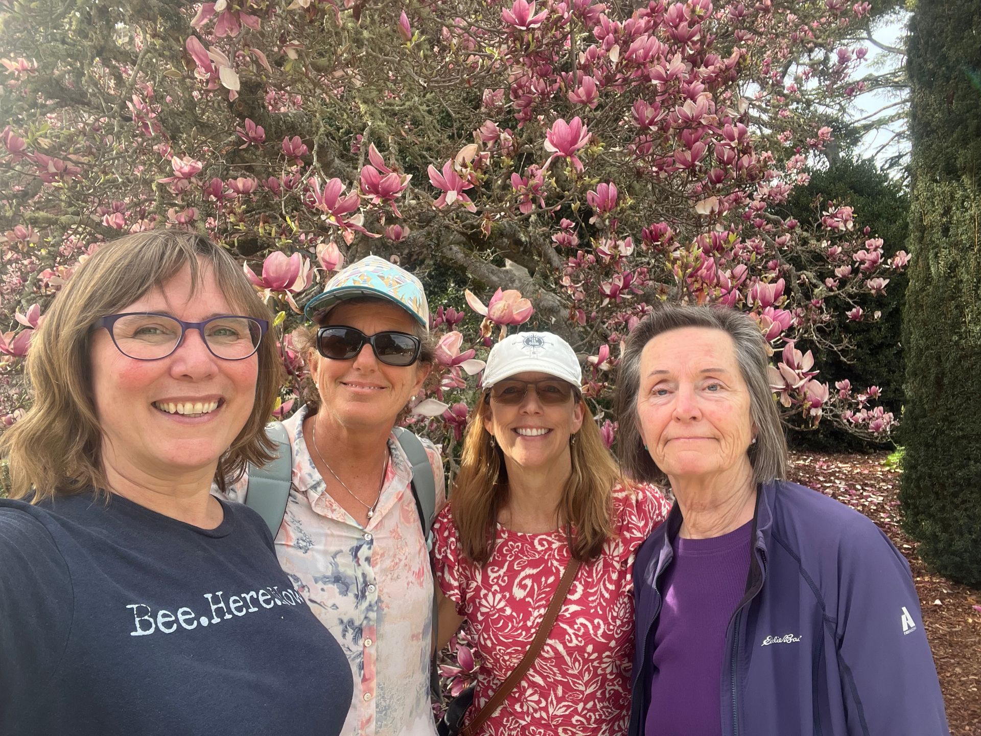 AHTA 2026 Conference: Resilience &Horticultural Therapy