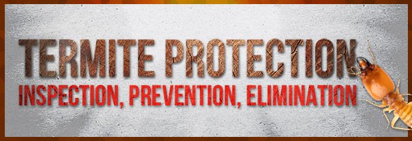 About | Steve’s Pest Control, Inc. | Pest Control Mid-Missouri