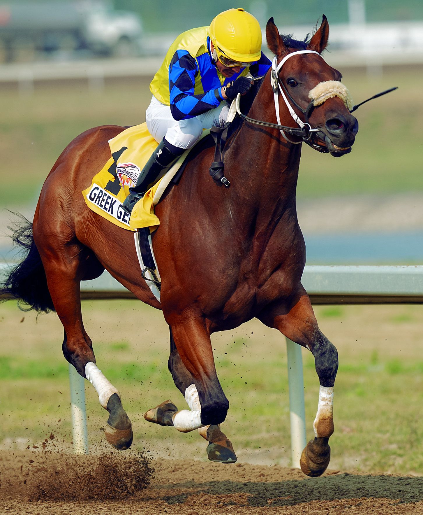 Greek Geek Wins 2023 Spangled Jimmy Handicap