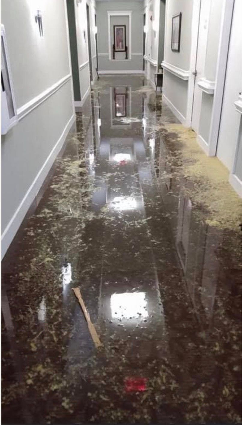 Damage Restoration Service Near Me in Davison, MI | All Pro Restoration Inc