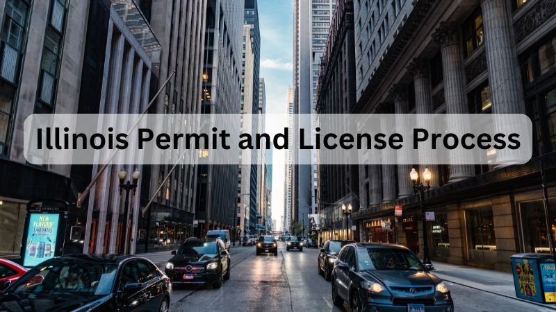 Illinois Permit and License Process