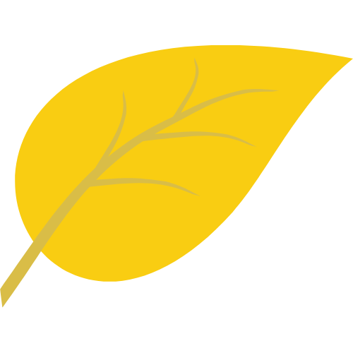 Flying Rabbit Adventures | Aerial Adventure Park | Book Now!