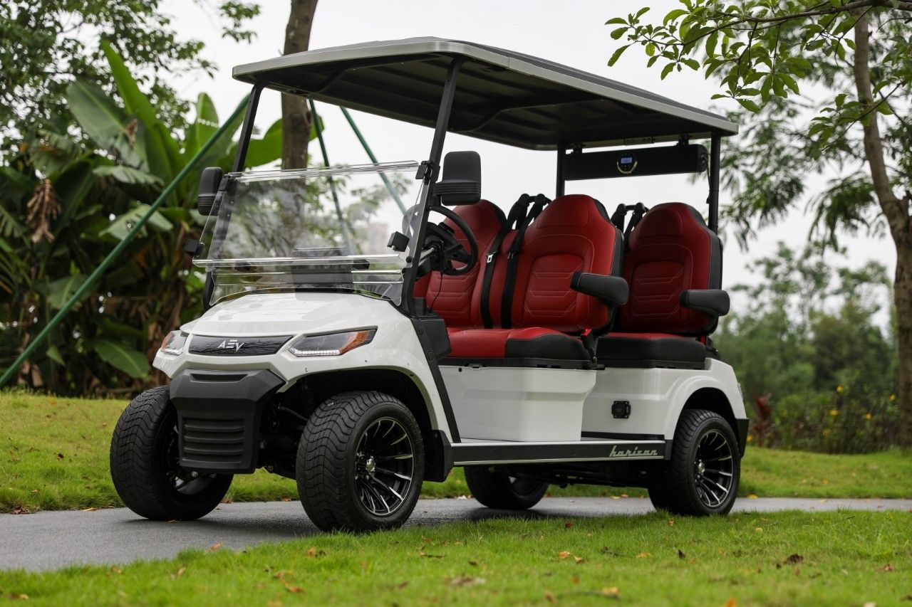 Home [www.epoweredcarts.au]