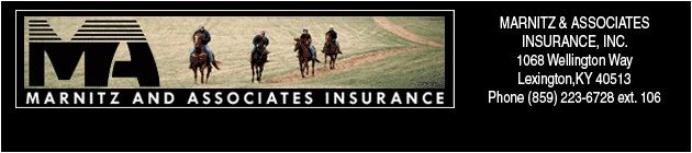 Equine Experiential Learning Certifications | E3A