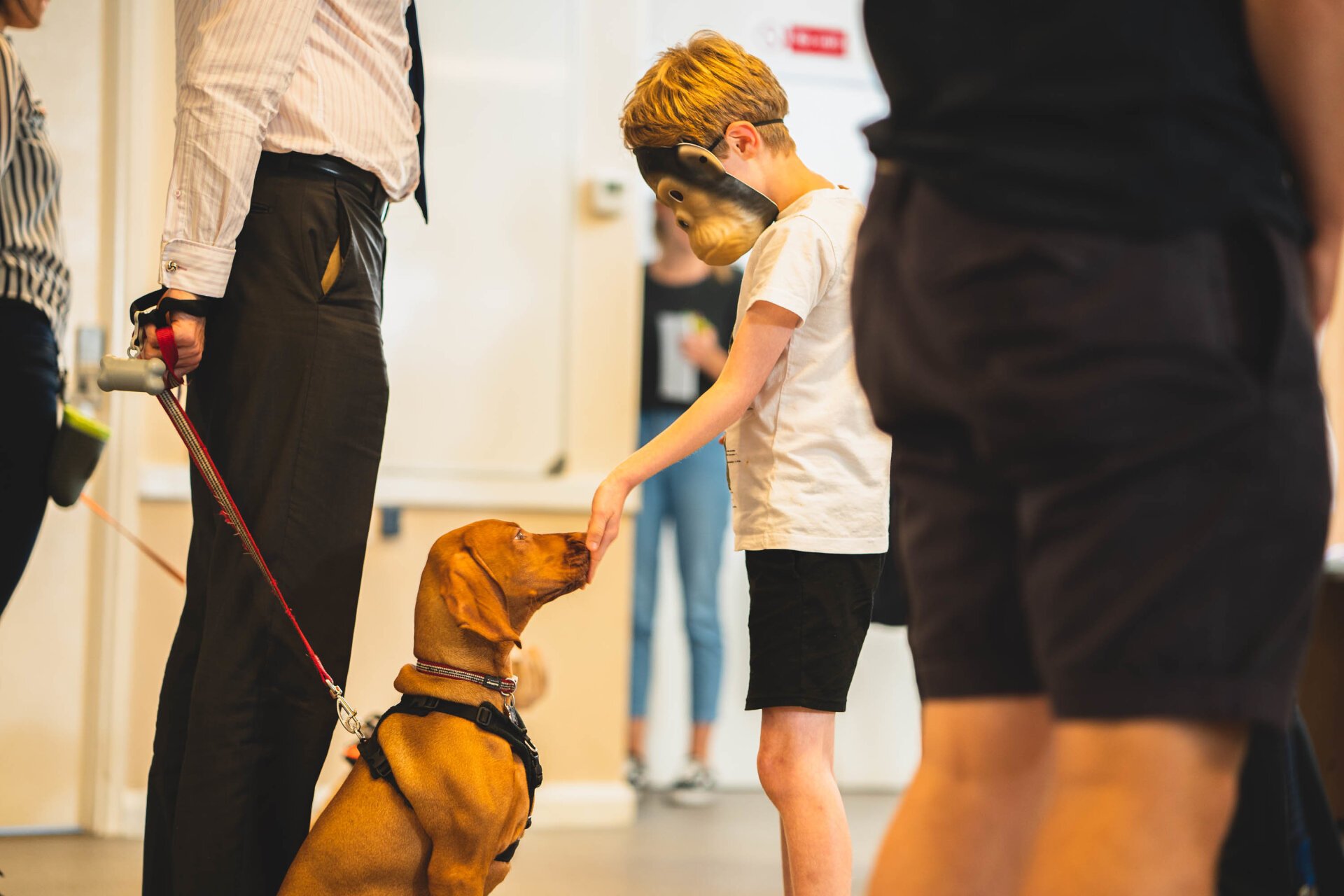 Puppy Training Classes - Wiltshire | Dog Training