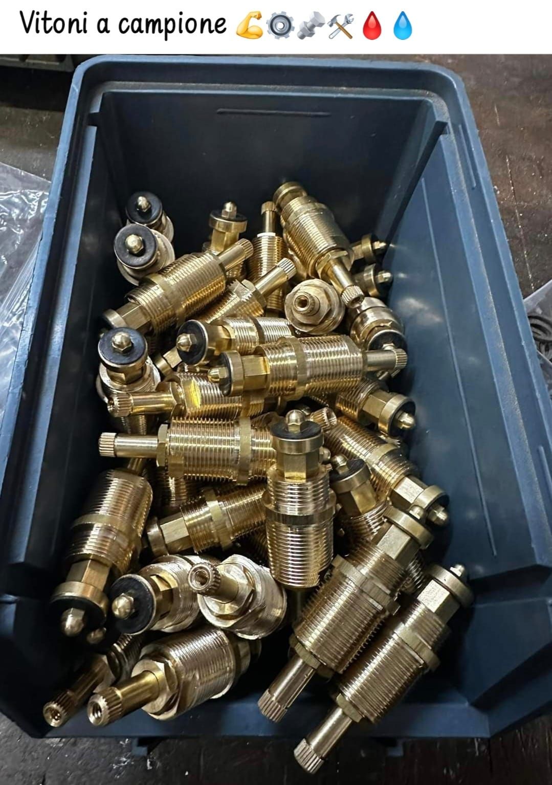 Riproduzioni Vitoni e passi rapidi a Milano, MI | Rubimax