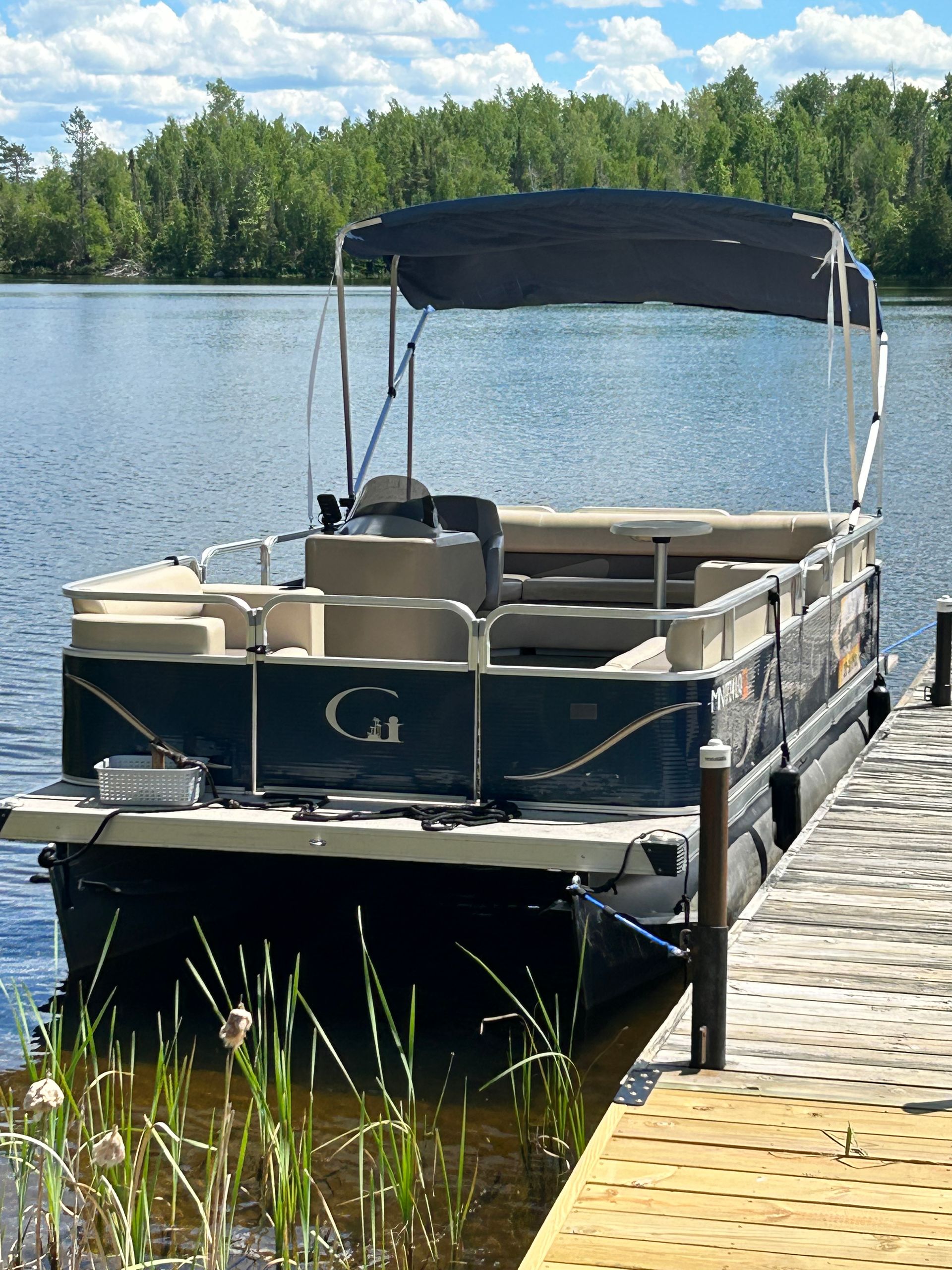 Lake View Lodge Boat Rentals | Shagawa Lake Pontoon Rentals