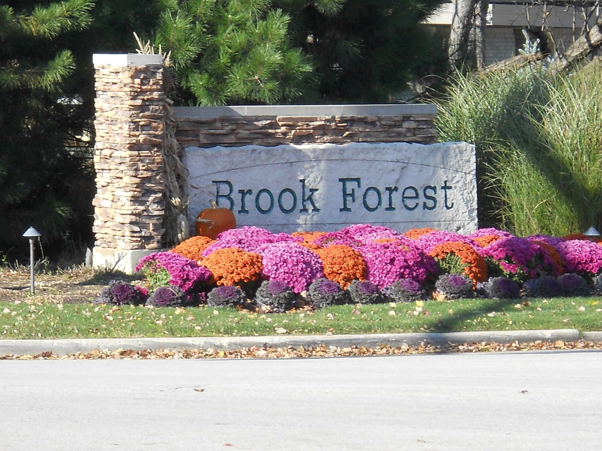 Community Info | Brook Forest | Oak Brook