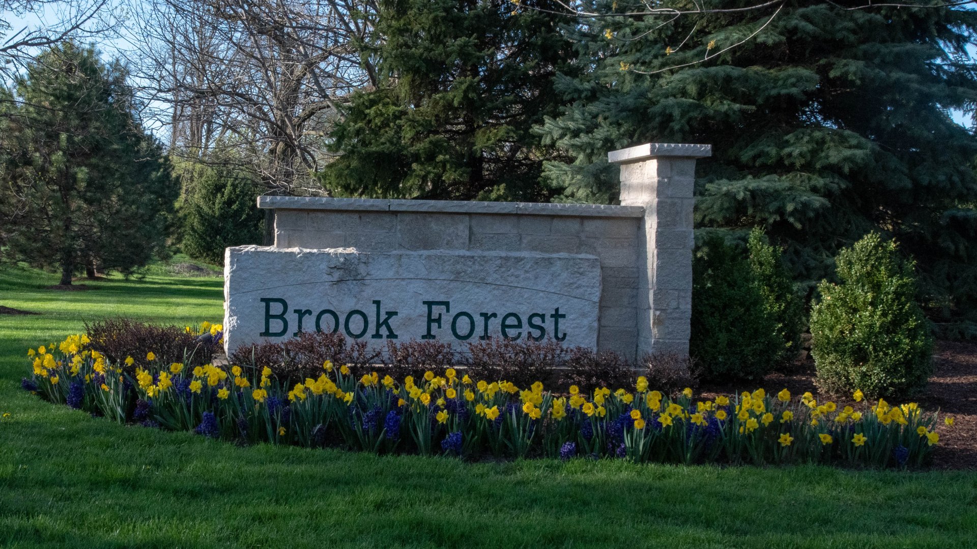 Meeting Minutes | Brook Forest