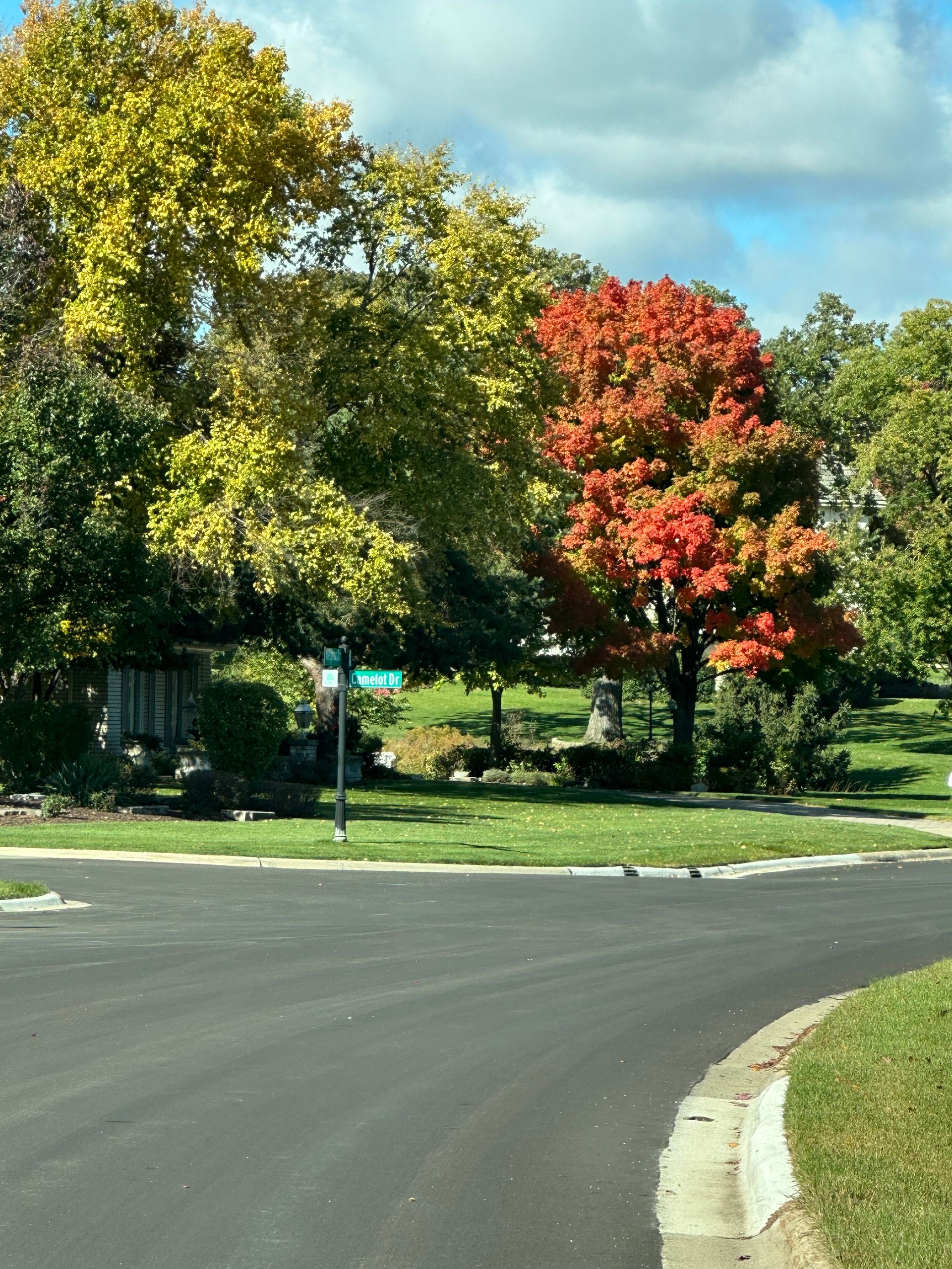 Board Members & Committees | Hinsdale, IL