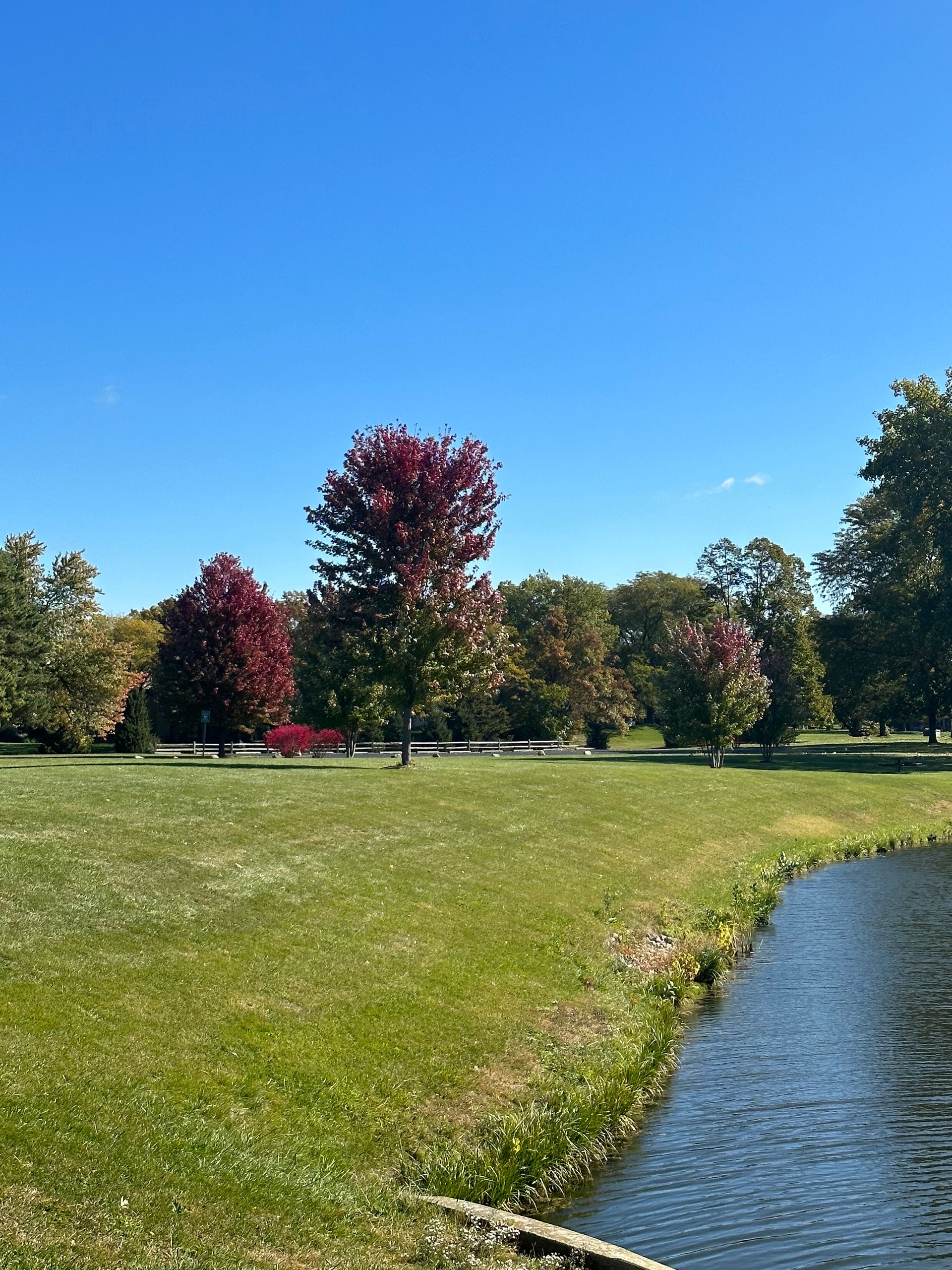 Community Info | Brook Forest | Oak Brook