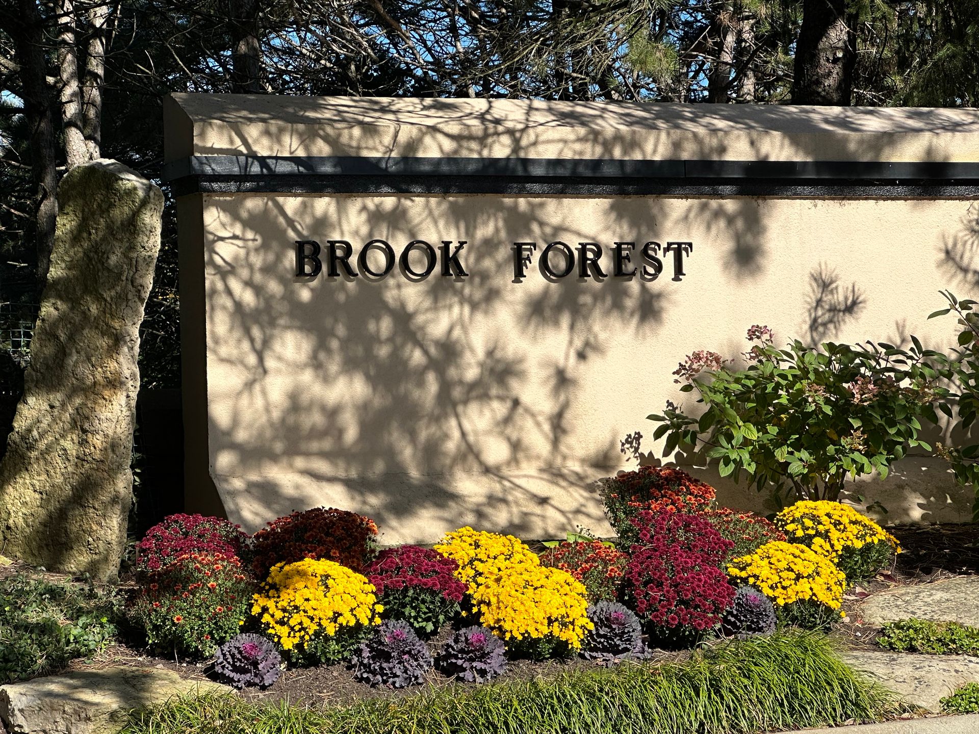 Meeting Minutes | Brook Forest