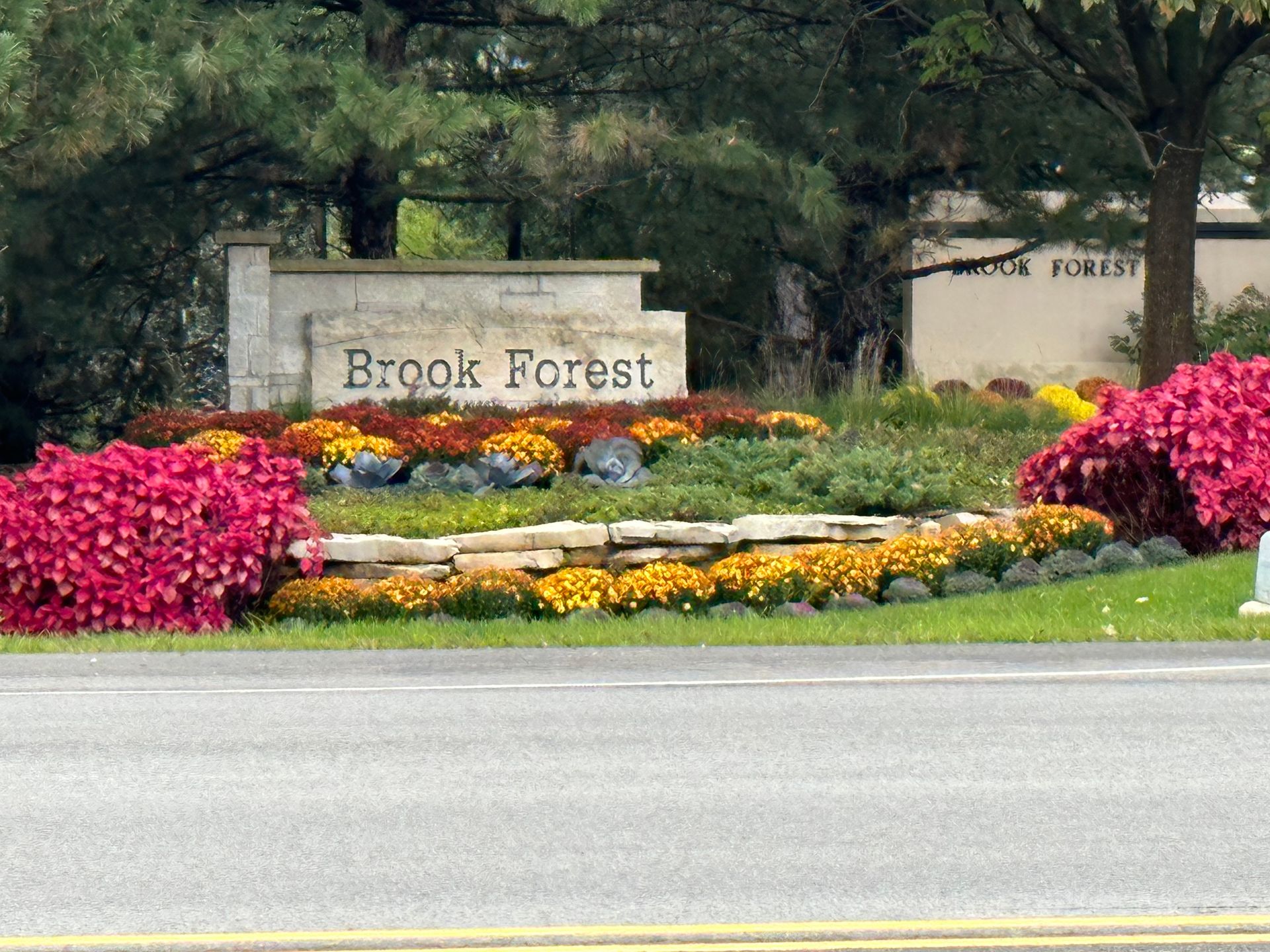 Meeting Minutes | Brook Forest