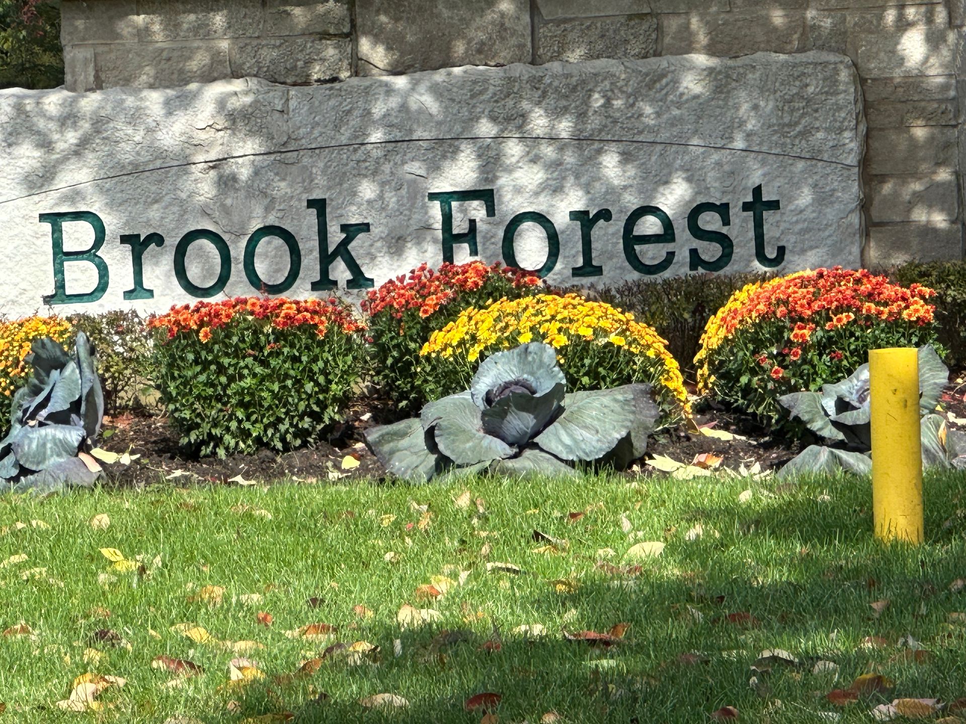 Brook Forest Newsletter