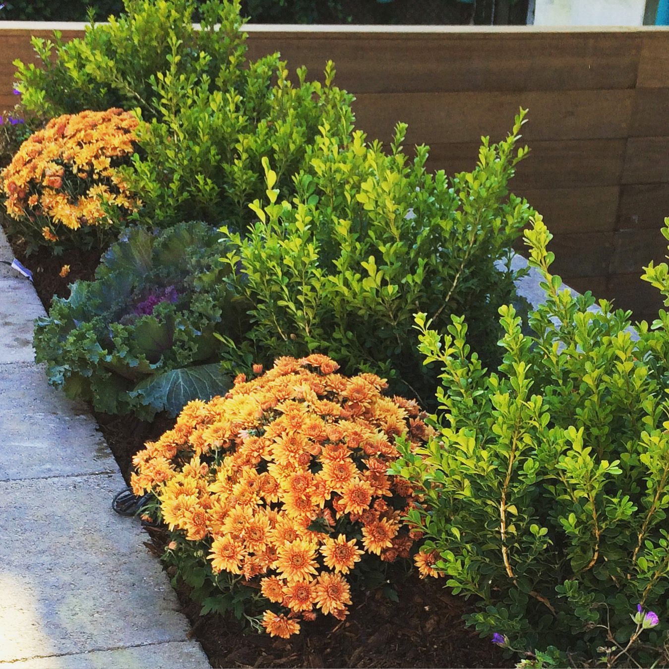 DBI Industries Inc's Residential Projects | NYC & the 5 Boroughs