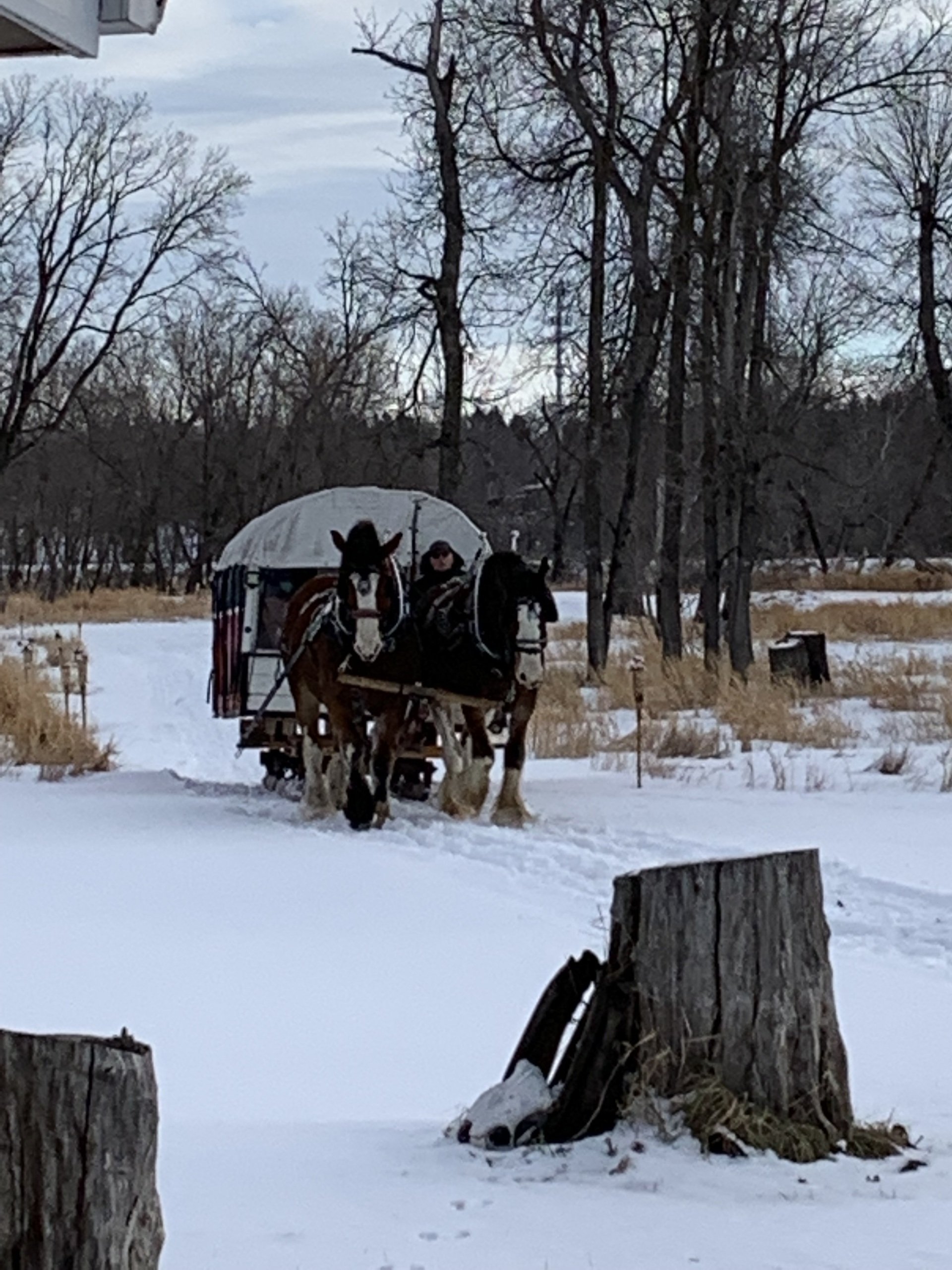 Brandon Teachers' Association Brandon, MB