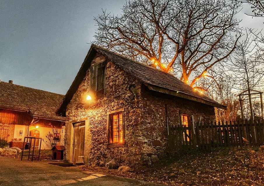 Home [www.chaesalp.ch]