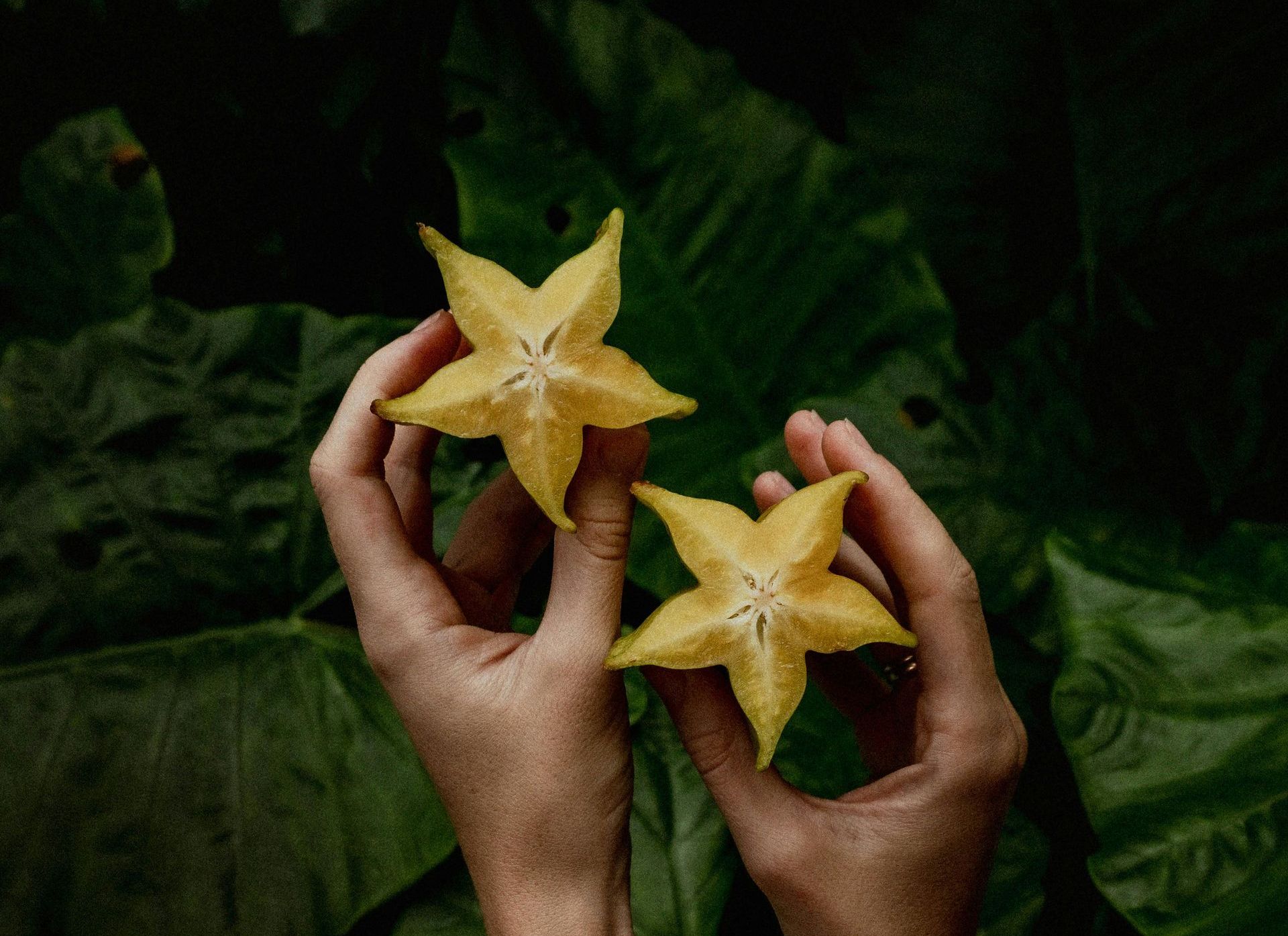 11 Jamaica Fruits and Their Seasons – Tropical Delights